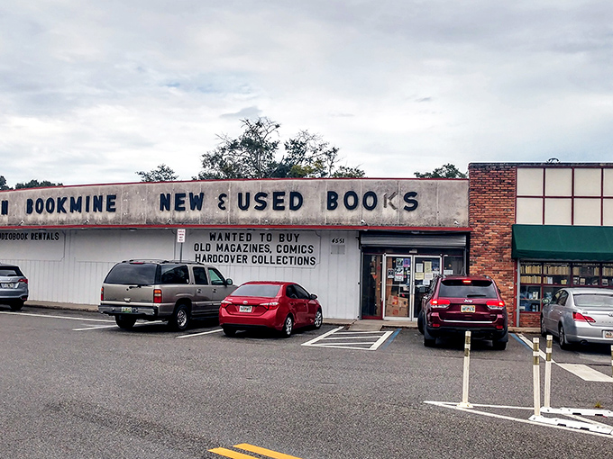 The unassuming exterior of Chamblin Bookmine belies the literary universe waiting inside. Like finding Narnia in a wardrobe, but with more paperbacks.