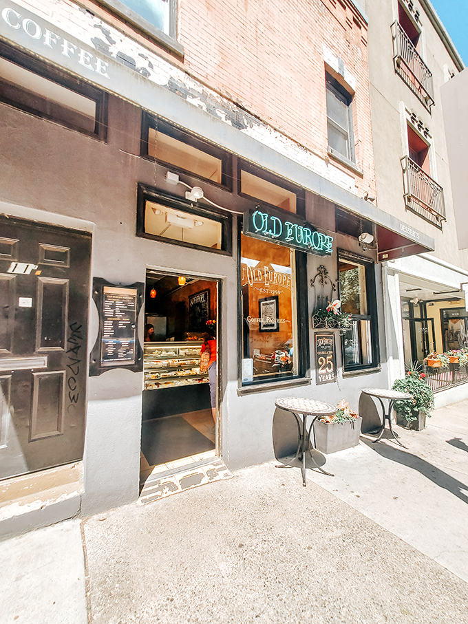 The blue neon glow of Old Europe's storefront beckons like a lighthouse for sugar-seekers in downtown Asheville. A quarter-century of sweet tradition awaits inside.