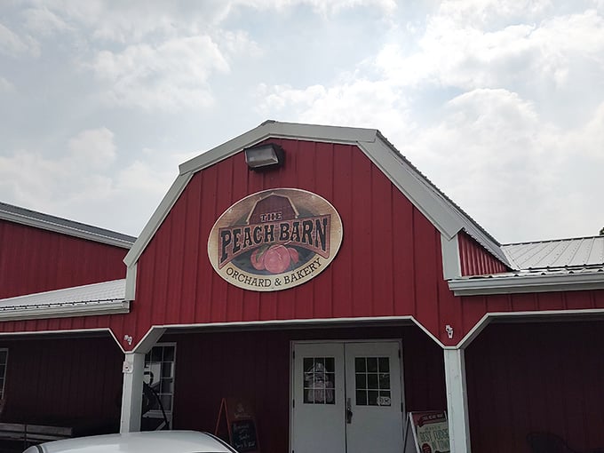 The iconic red barn stands proudly against the Oklahoma sky, like a beacon calling to pie lovers everywhere. "Peach Barn" isn't just a name&mdash;it's a promise.