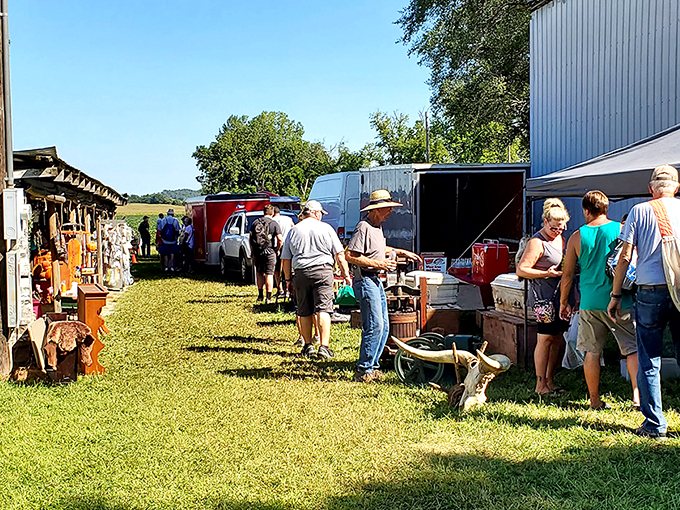 Treasure hunters navigate the grassy pathways between vendor stalls, where yesterday's castoffs await their second chance at usefulness and beauty.