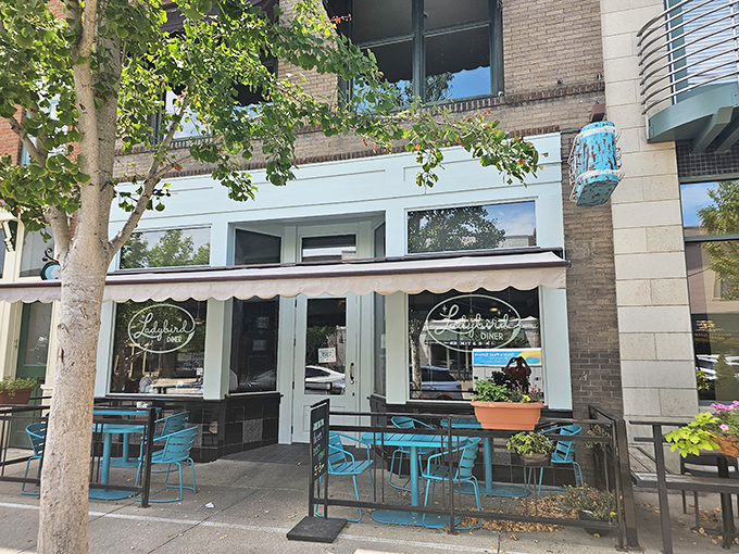 The turquoise chairs outside Ladybird Diner aren't just seating&mdash;they're an invitation to slow down and savor life one pancake at a time.