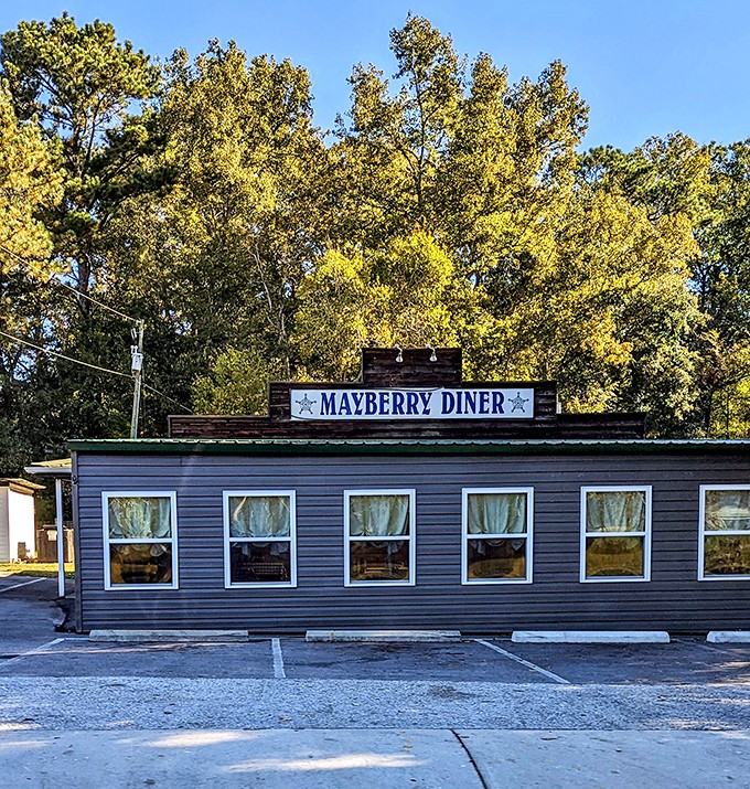 The unassuming exterior of Mayberry Diner stands like a culinary time capsule among the trees, promising honest food without pretense.