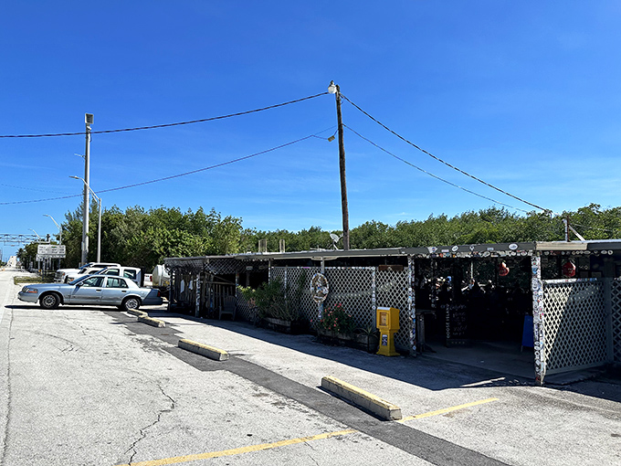 The unassuming exterior of Alabama Jacks might make you question your GPS, but trust me&mdash;culinary treasures often hide behind humble facades.