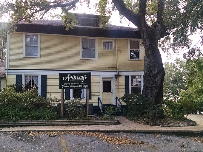 Humble on the outside, legendary on the inside &ndash; Aunt Jenny's yellow cottage beneath sprawling oaks has been serving Ocean Springs' finest catfish for generations.