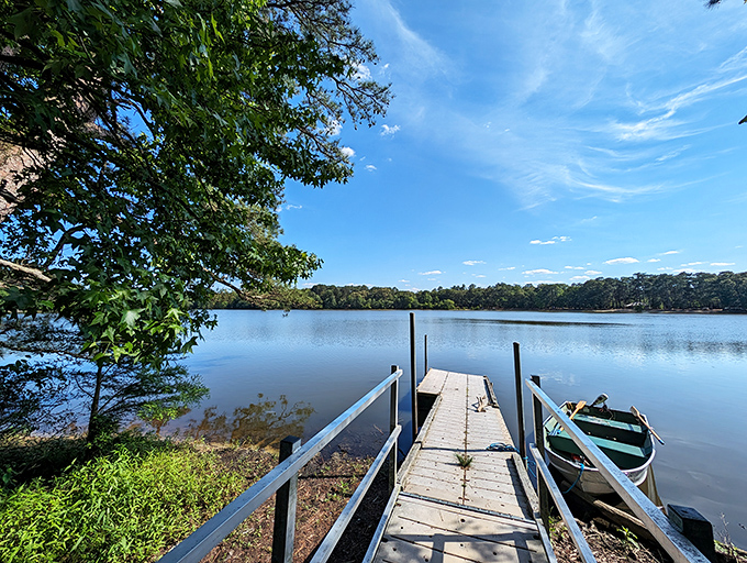 Fall's greatest magic trick happens right here, where cypress trees paint the water with fiery reflections that would make Bob Ross weep with joy.