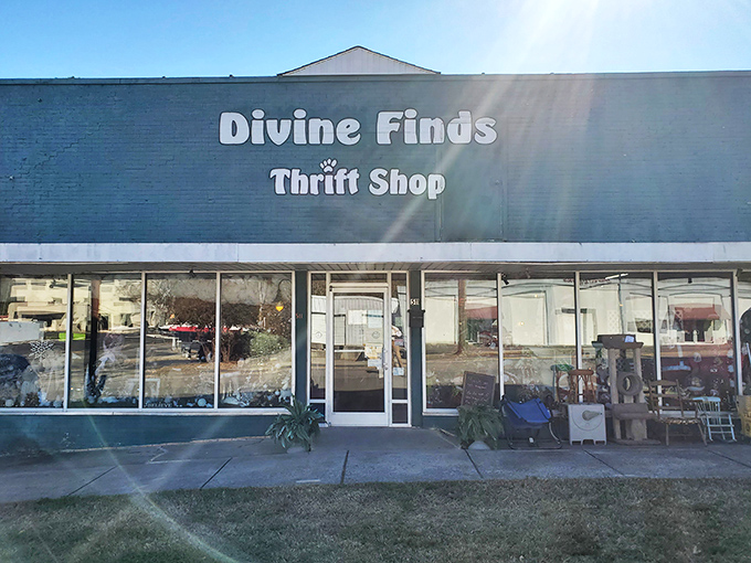 The teal storefront of Divine Finds stands like a portal to another era, inviting treasure hunters to step through and begin their journey. 