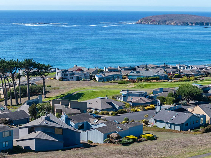 Bodega Bay's panoramic coastline unfolds like nature's IMAX screen&mdash;homes perched on bluffs enjoying million-dollar views that no Netflix subscription could ever match.