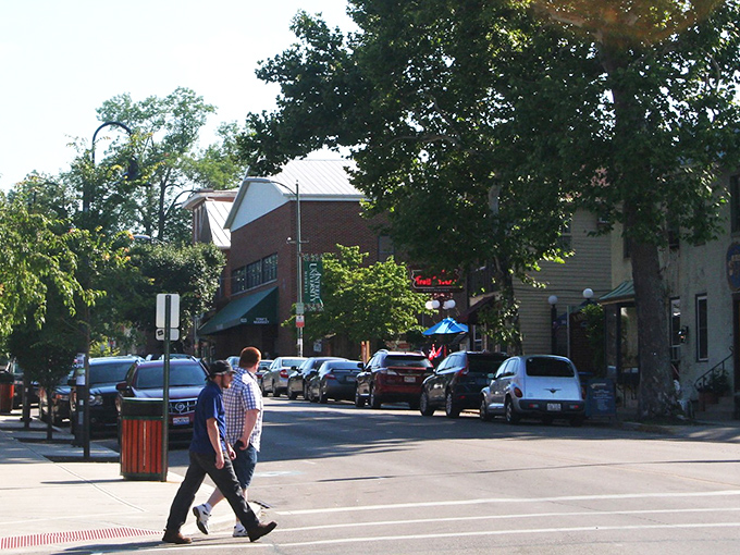 Yellow Springs' main street feels like stepping into a Norman Rockwell painting where everyone got really into indie music and organic kale.