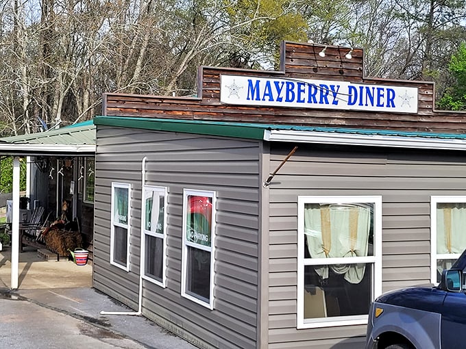 The unassuming exterior of Mayberry Diner stands like a culinary time capsule among the trees, promising honest food without pretense.