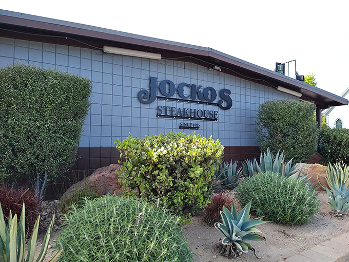 The unassuming exterior of Jocko's belies the carnivorous paradise within. Like finding a treasure chest disguised as a shoebox.