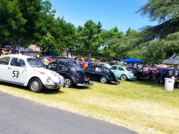 Sunshine, straw hats, and the promise of treasures &ndash; just another perfect day at Madera Flea Market where bargain hunting becomes an art form.