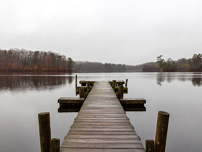 The wooden boardwalk stretches toward autumn's canvas, where nature shows off like it's auditioning for a calendar shoot.