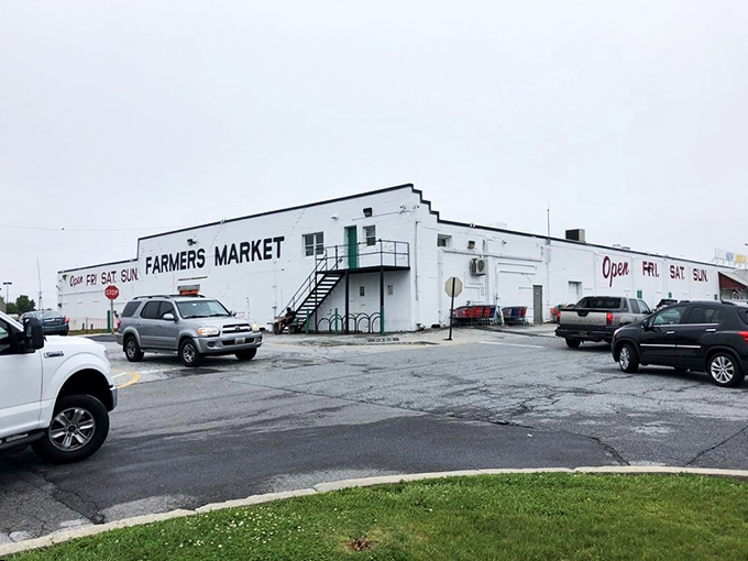 The unassuming exterior of New Castle Farmers Market belies the treasure trove within. Like finding a secret portal to bargain heaven in a suburban parking lot.