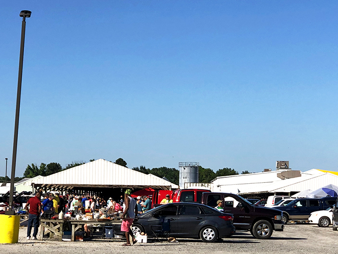 The treasure hunt begins in this unassuming gravel lot, where pickup trucks and sedans gather like prospectors at a modern-day gold rush.