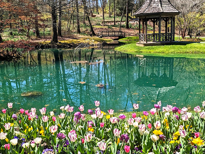 Flower heaven! Millions of blooms carpeting the hillsides like Mother Nature decided to throw the world's most spectacular spring party.