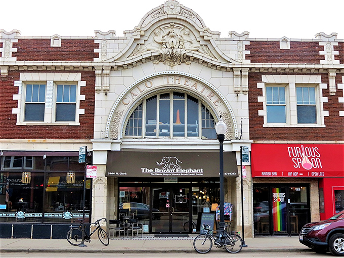 The grand fa&ccedil;ade of The Brown Elephant commands attention on Clark Street, like a temple dedicated to the gods of secondhand treasures.