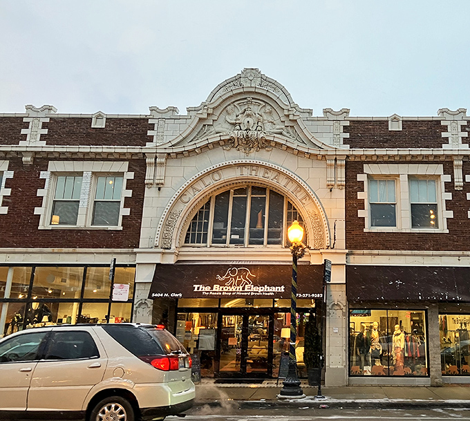 The grand architectural fa&ccedil;ade of The Brown Elephant stands proudly on Clark Street, like a palace dedicated to the art of secondhand treasures.
