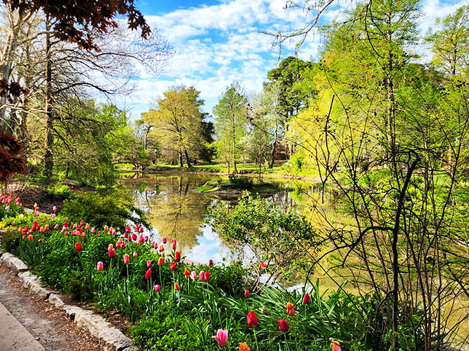1. people drive from all over kansas to explore this postcard worthy arboretum