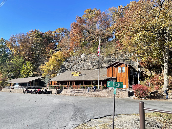 Where geology meets gastronomy! Undercliff Grill & Bar nestles against a towering limestone cliff, creating perhaps Missouri's most dramatic restaurant backdrop.