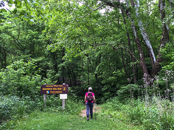The Meramec River flows gently through the park, offering a serene escape where time seems to slow to match the current's peaceful pace.