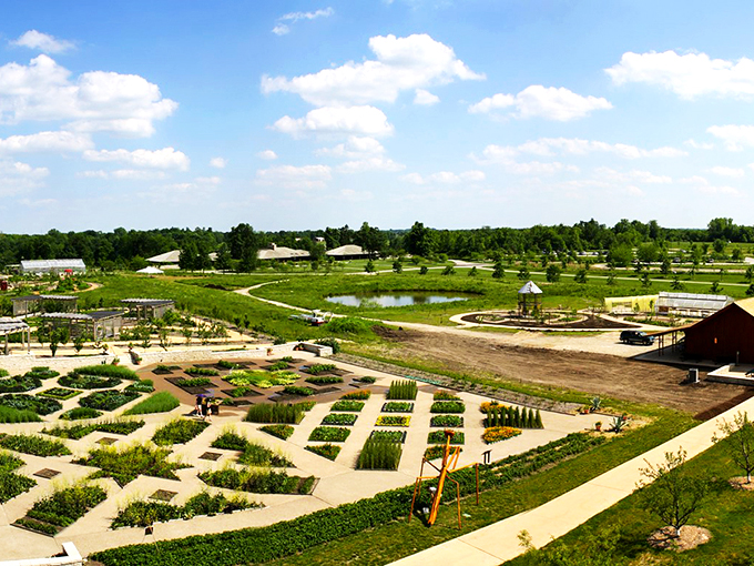 Purple coneflowers dance in the summer breeze, creating a living Impressionist canvas that would make Monet reach for his paintbrush.