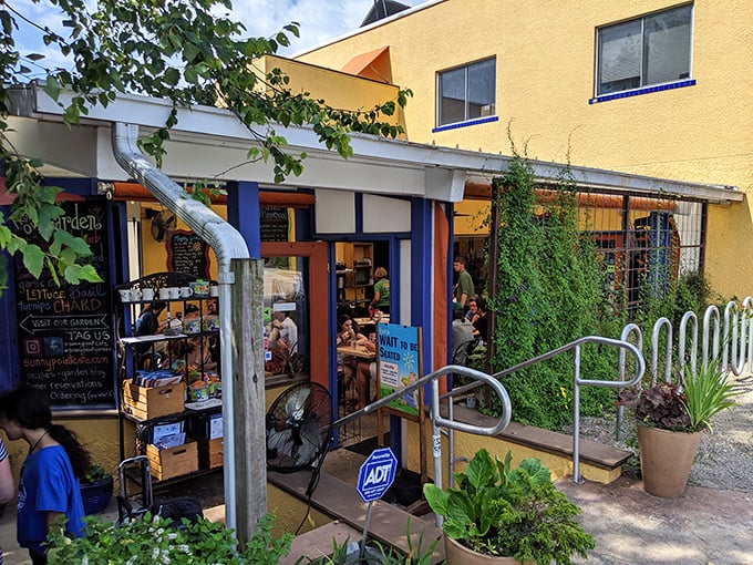 Garden-to-table isn't just a buzzword here—it's literally what happens when herbs and vegetables from these planters make the short journey to your breakfast plate.