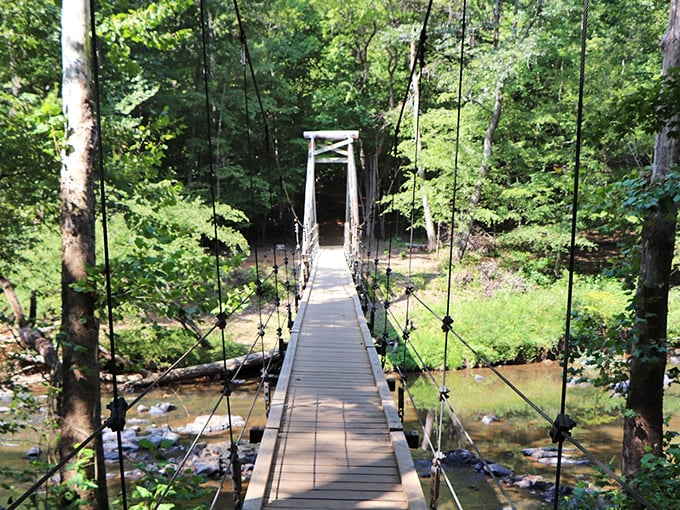 The suspension bridge at Eno River State Park isn't just a crossing&mdash;it's an invitation to adventure that sways ever so slightly with each step. 