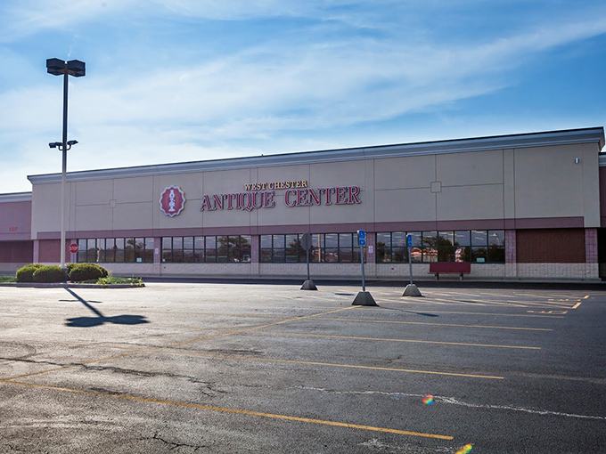 The unassuming storefront belies the wonderland within—like finding Narnia behind an ordinary wardrobe door, but with more vintage lamps.