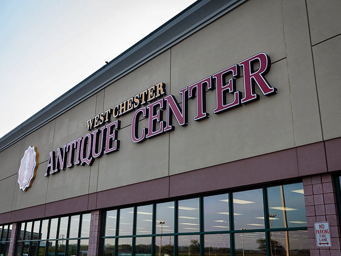 The unassuming storefront belies the wonderland within—like finding Narnia behind an ordinary wardrobe door, but with more vintage lamps.