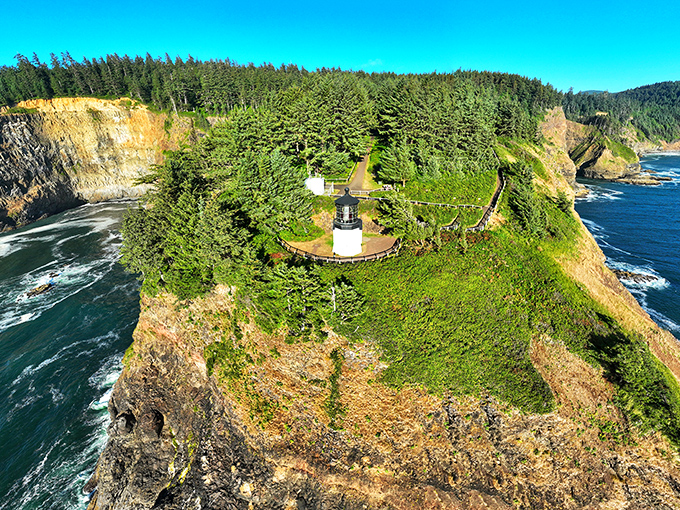 Where the forest meets the sea in perfect harmony. Cape Lookout's pristine shoreline stretches for miles, offering solitude that's increasingly rare in our Instagram-saturated world.