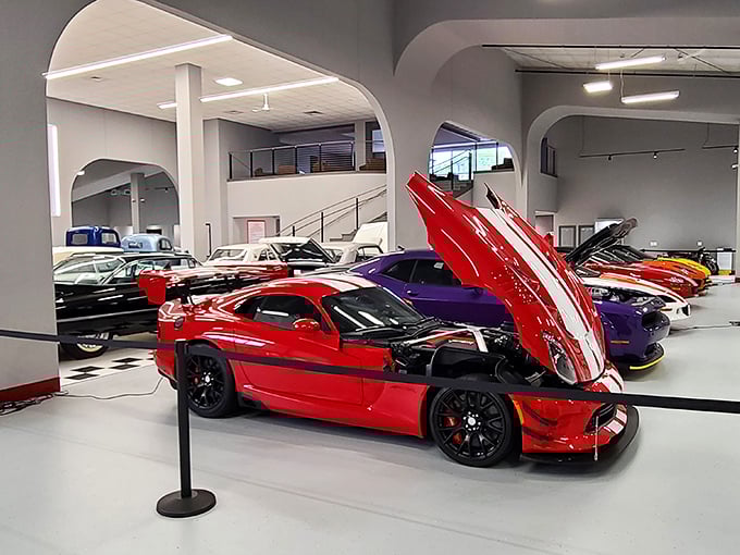 Under the hood of automotive excellence: A pristine engine compartment reveals the mechanical heart of these rolling masterpieces, where engineering meets artistry. 