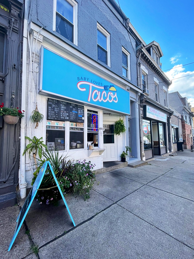 The bright blue sign promises taco salvation while the string lights invite you in like an old friend who happens to make incredible food.