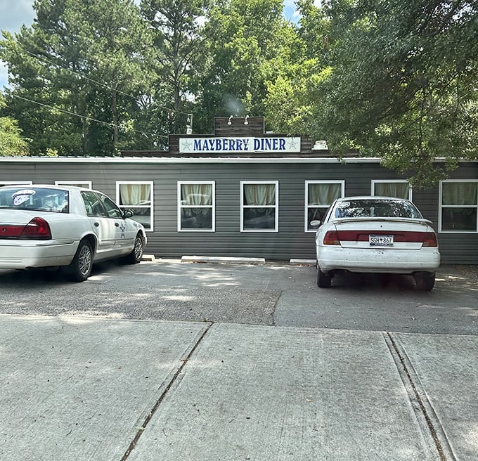 The unassuming exterior of Mayberry Diner stands like a culinary time capsule among the trees, promising honest food without pretense.
