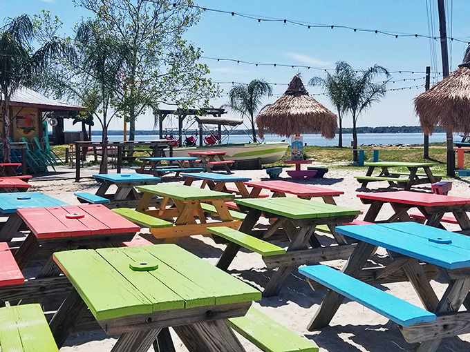 Rainbow-colored picnic tables create a beachside paradise where your toes can wiggle in the sand while your taste buds dance with delight.