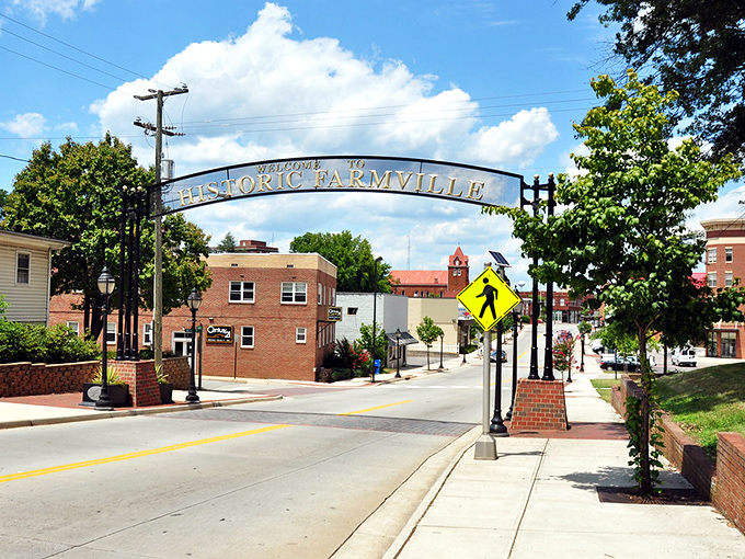 Main Street Farmville stretches before you like a scene from a nostalgic film, where lampposts line the streets and nobody's in a hurry.