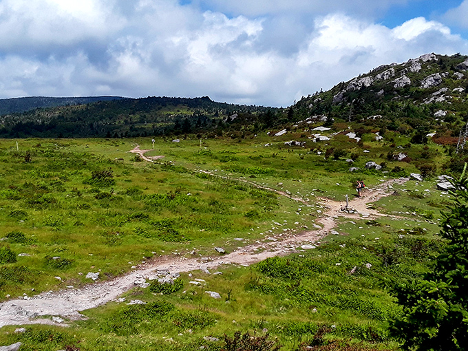 The highlands stretch before you like nature's welcome mat &ndash; miles of open meadows where the only traffic jams involve wild ponies deciding who gets the best grass.