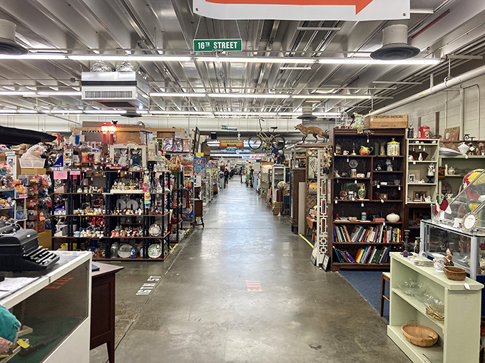 Your treasure hunt begins here! Rows of antiquities beckon like a beacon of bargain-hunting bliss.