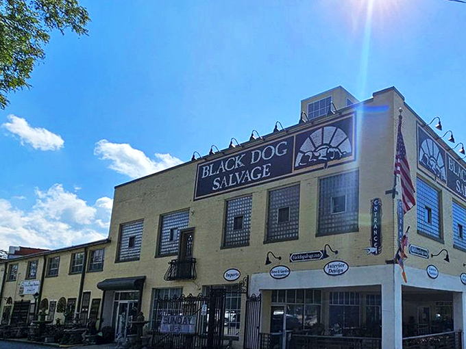 The sunshine-yellow exterior of Black Dog Salvage stands like a beacon for treasure hunters. This architectural playground in Roanoke promises adventures in every corner.