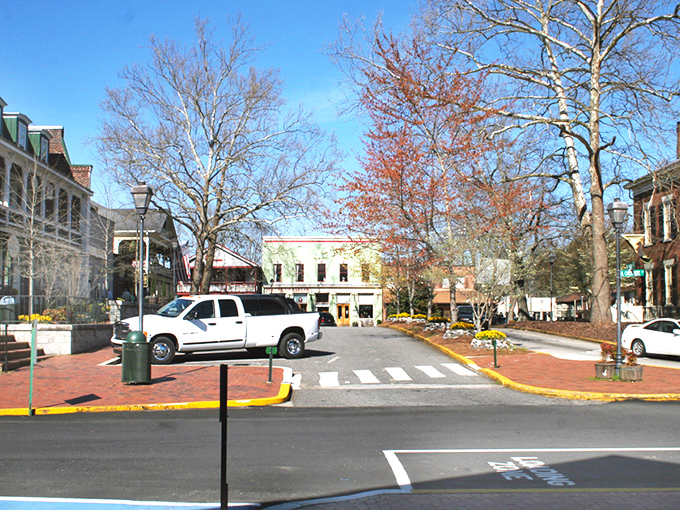 Tree-lined streets welcome you to Dahlonega's charming downtown, where time slows down and Southern hospitality flows as freely as sweet tea.