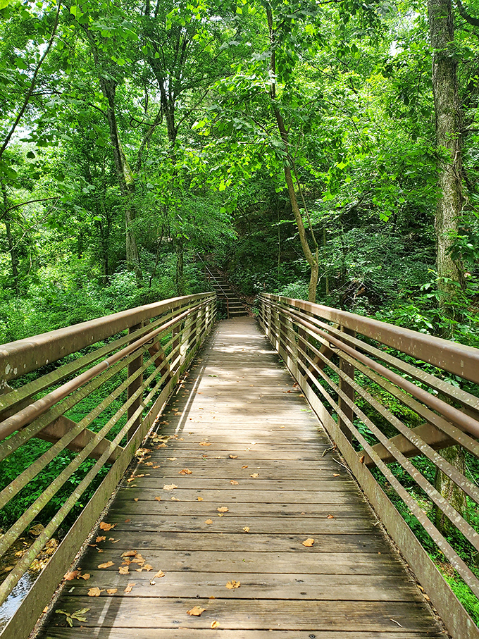 The spectacular 77-foot waterfall plunges through limestone cliffs at Natural Falls, creating an enchanting scene that feels more Pacific Northwest than Oklahoma. 