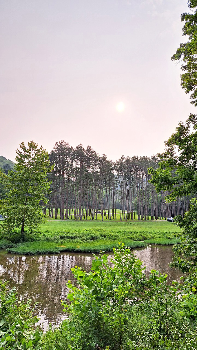 The iconic blue bridge spans Little Beaver Creek like nature's perfect postcard. Geese patrol the grassy banks, clearly the self-appointed park rangers of this serene waterway.