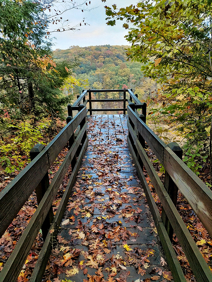 Nature's stairway to heaven! Fall leaves carpet this wooden walkway as it descends into a kaleidoscope of autumn colors that would make even Bob Ross reach for extra paint.