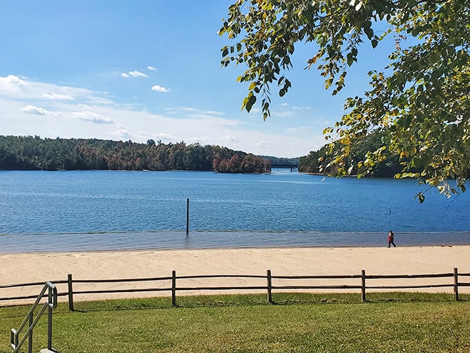 Crystal-clear waters meet pristine shorelines at Lake James, where the Blue Ridge foothills create nature's perfect amphitheater for relaxation.