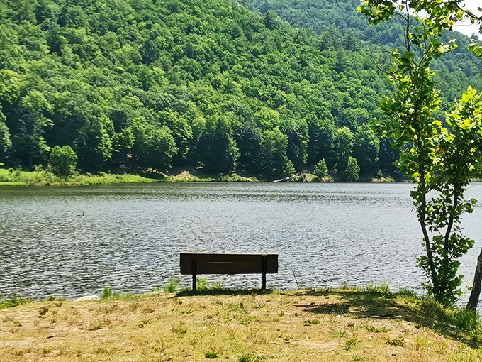 The daytime view at Cherry Springs offers a different kind of majesty&mdash;wide open spaces under Pennsylvania's big sky, nature's own amphitheater before the stellar show begins.