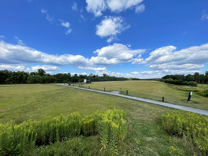 The daytime view at Cherry Springs offers a different kind of majesty—wide open spaces under Pennsylvania's big sky, nature's own amphitheater before the stellar show begins.