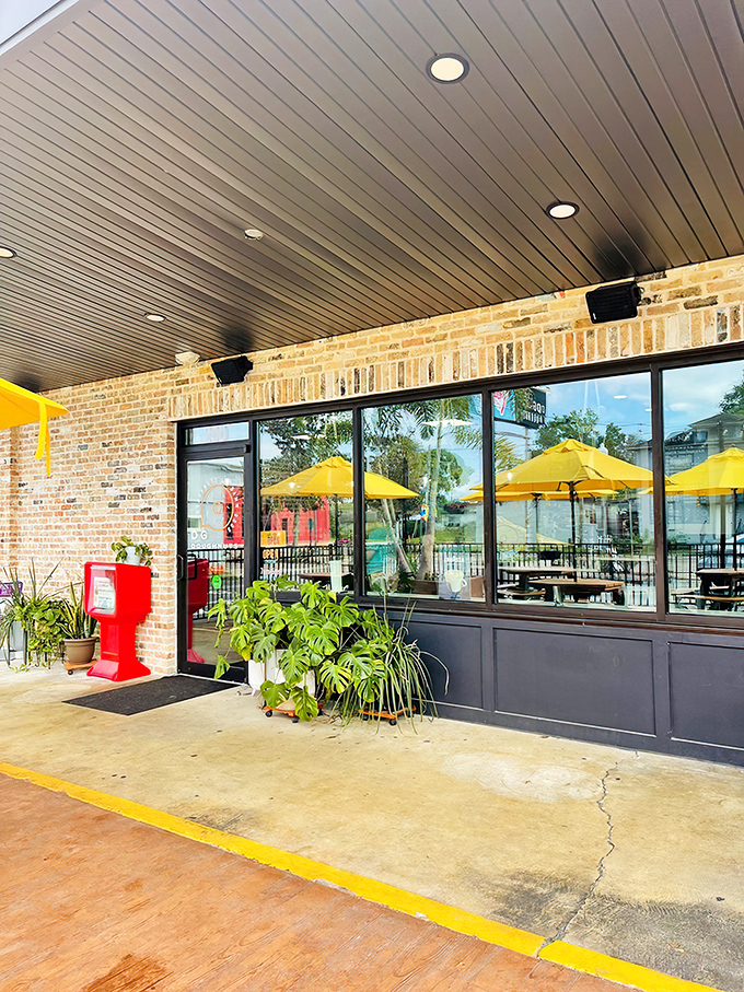 The sunshine-yellow umbrellas of DG Doughnuts beckon like beacons of hope in a world that desperately needs more frosting and joy.