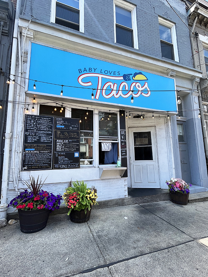 The bright blue sign promises taco salvation while the string lights invite you in like an old friend who happens to make incredible food.