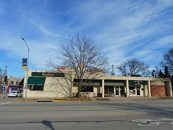The modest storefront of Wheatfields belies the culinary magic happening inside. Lawrence's best-kept bread secret hides in plain sight.