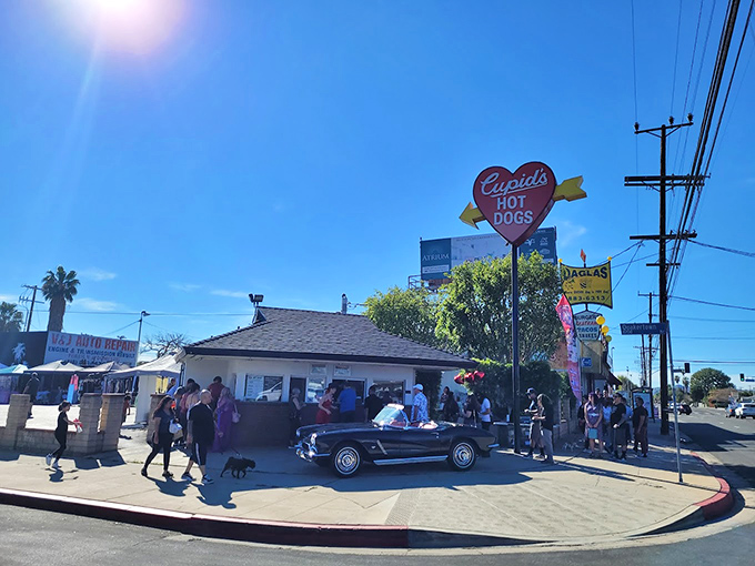 Classic cars line up outside Cupid's Hot Dogs, where automotive nostalgia meets culinary tradition in a perfect Valley pairing.