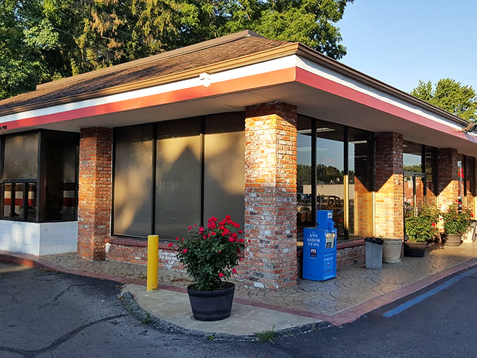 The vintage sign beckons like a lighthouse for the sugar-deprived. Dom Bakeries' retro charm stands strong against fast food uniformity. 